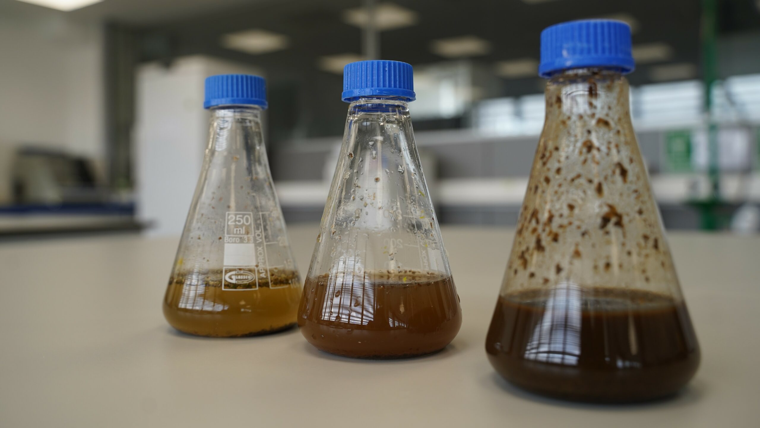 Procesos biotecnológicos avanzados permitirán obtener productos ...